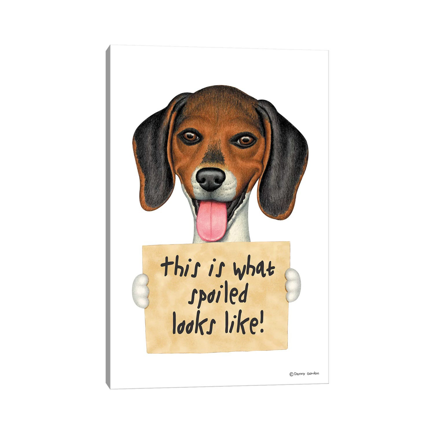 East Urban Home Beagle Spoiled by Danny Gordon - Wrapped Canvas Graphic Art | Wayfair